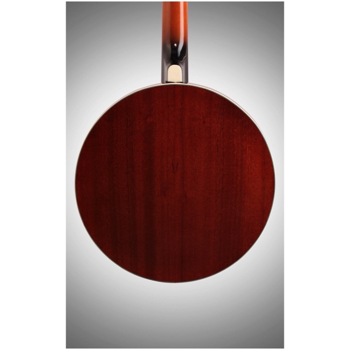 Ibanez B200 Banjo – Same Day Music