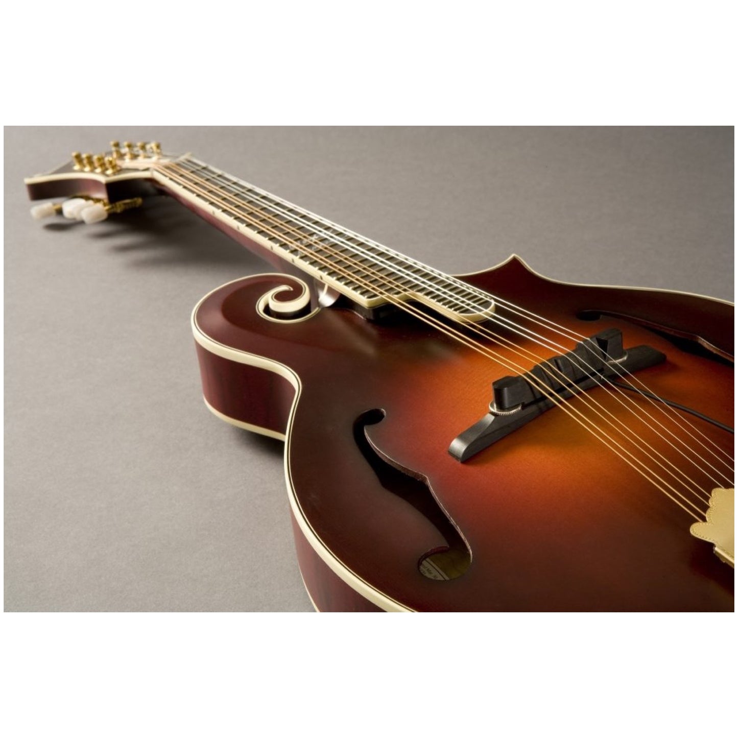 Fishman M300 Nashville Series Archtop Mandolin Pickup – Same Day Music